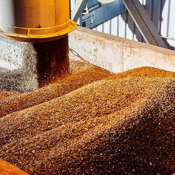 Grain Processing Dust Collector for Grain Processing Industry